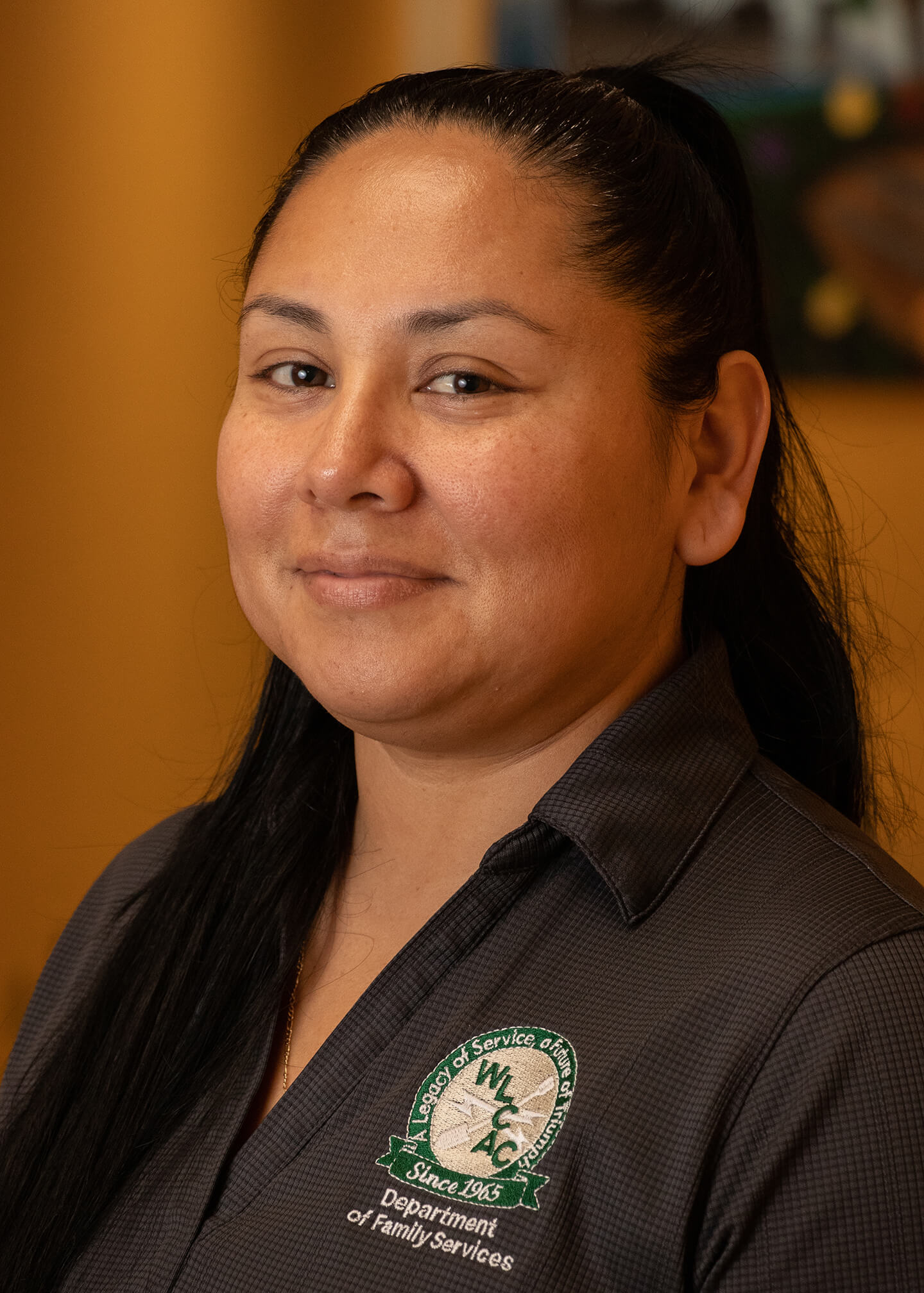 Seniors Services - WLCAC